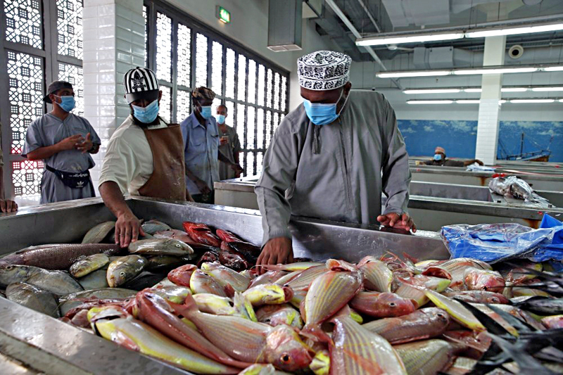 Record fish catch in Oman | Muscat Daily| Oman News |Business | Sports ...