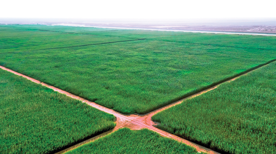 Suez wins €120mn PDO contract | Muscat Daily| Oman News |Business ...