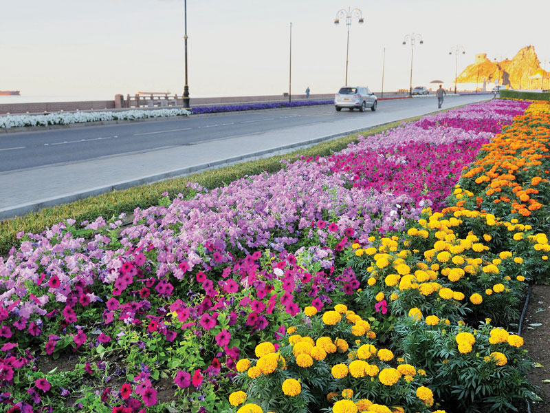 Muscat Municipality to organise Flower Exhibition in February | Muscat ...