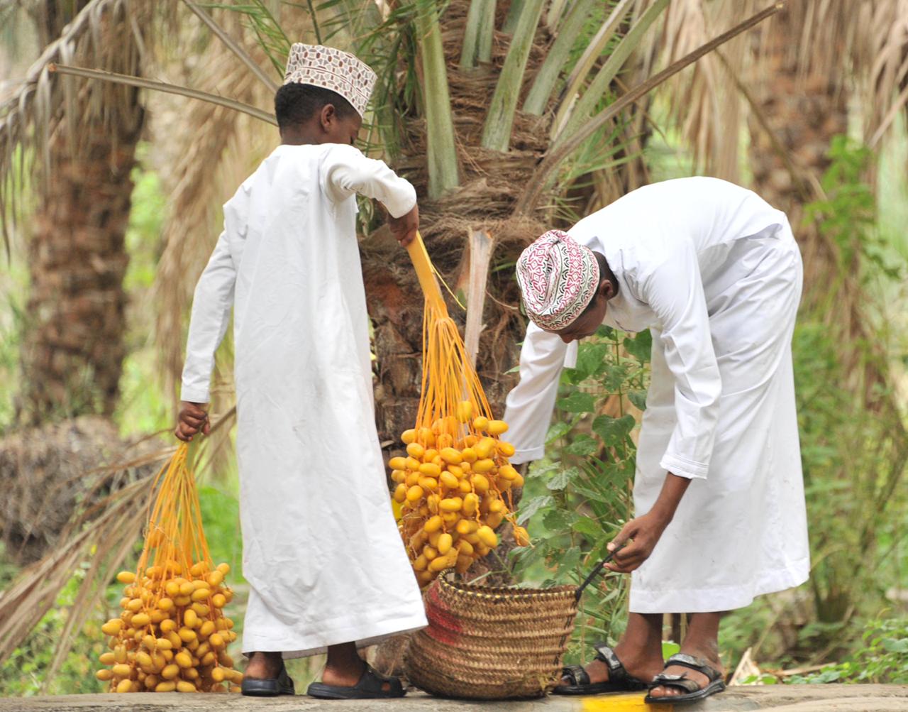 Tabseel begins | Muscat Daily| Oman News |Business | Sports |Lifestyle