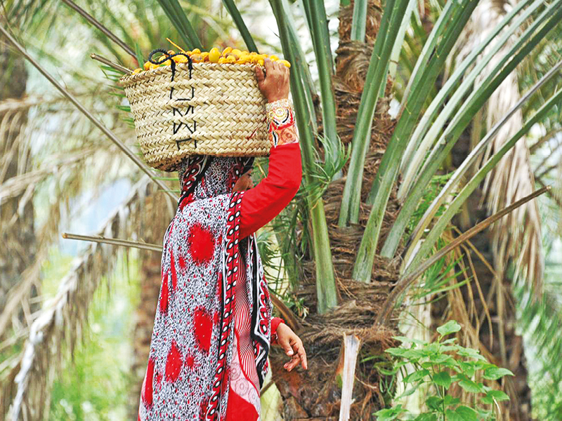 App to help Omani women farmers wins Arab award | Muscat Daily| Oman ...