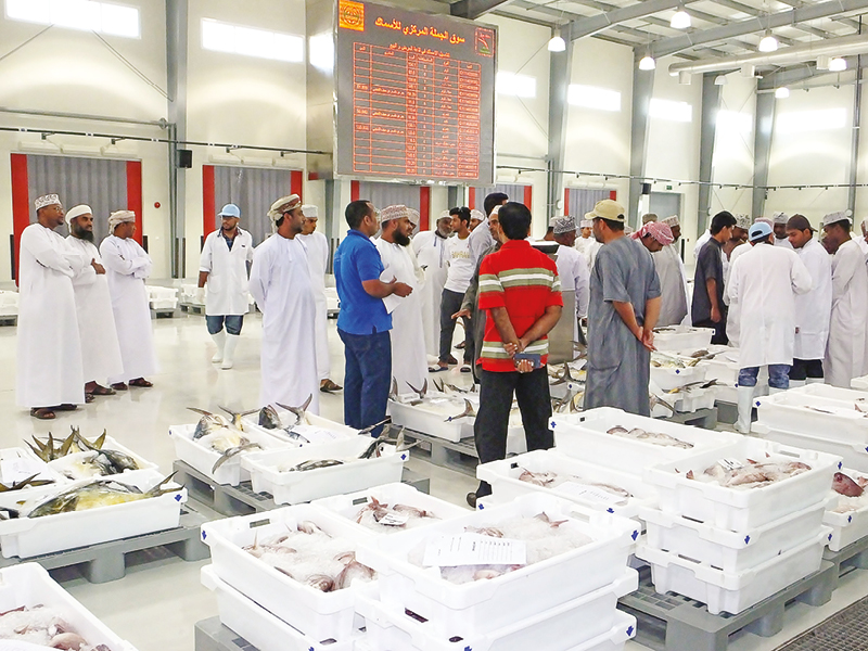 Two-month ban on fishing kingfish begins on Aug 15 - Muscat Daily