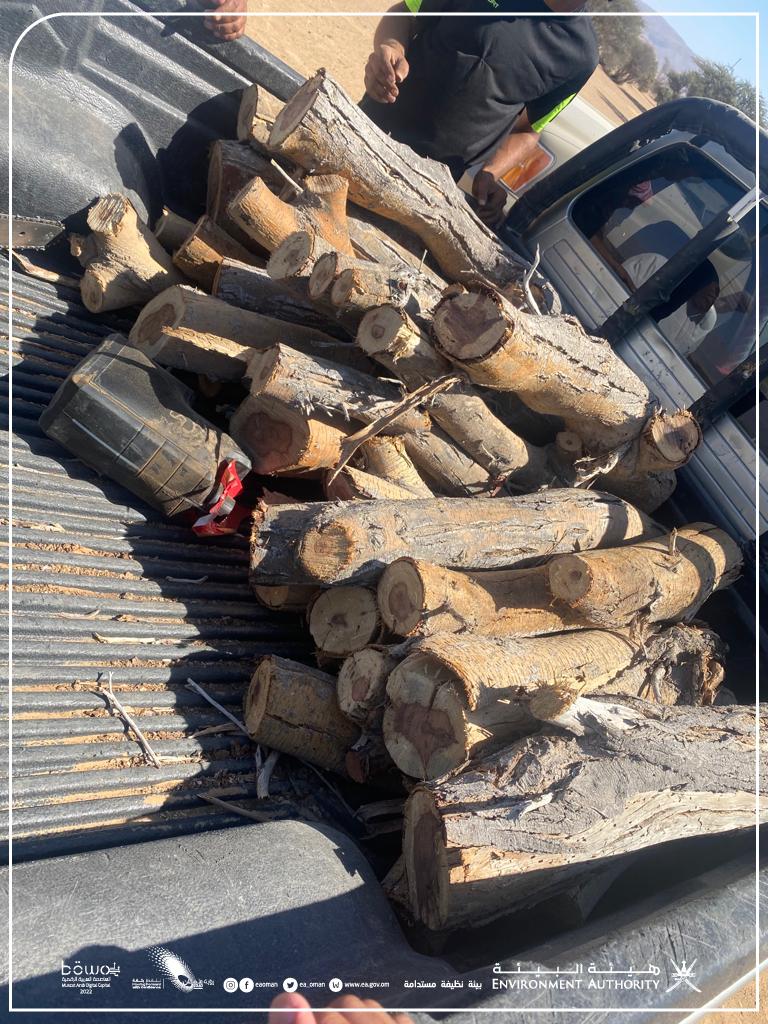 Citizen arrested for illegal logging