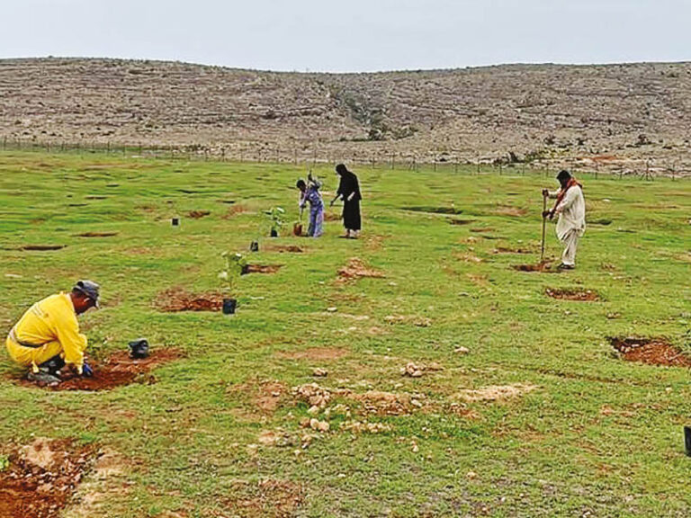 48 Muscat-Doha daily flights during World Cup - Muscat Daily