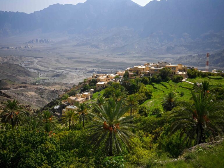 Pomegranate harvest season begins in Wadi Mistal
