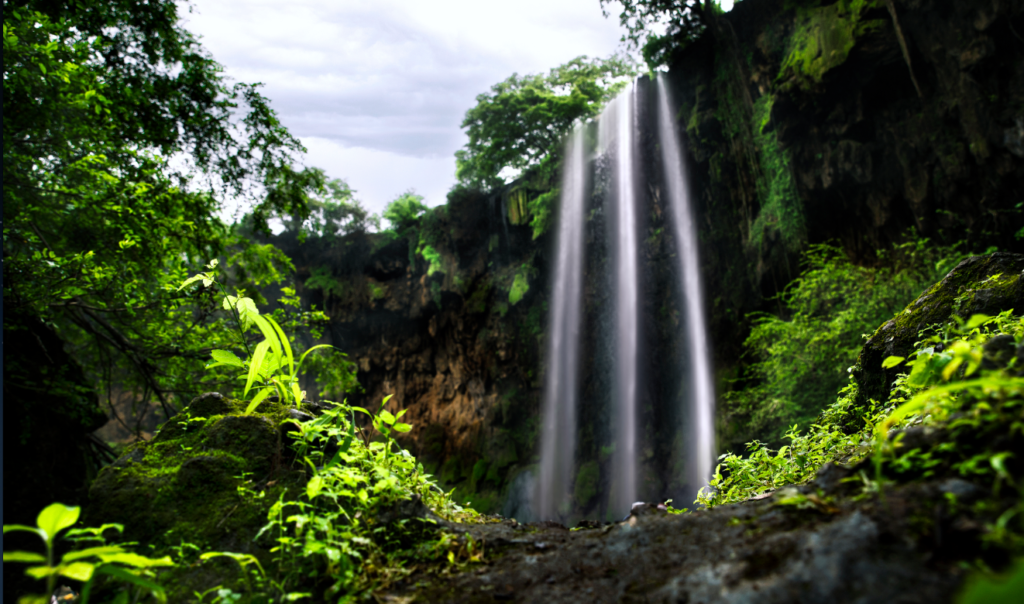 Dhofar’s bountiful nature through a photographer’s eye