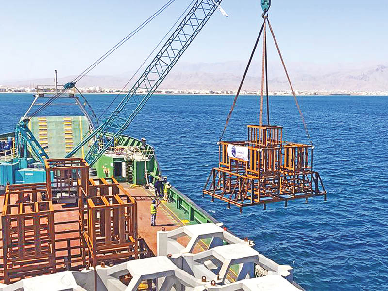 22 artificial coral reef units deployed in Sur
