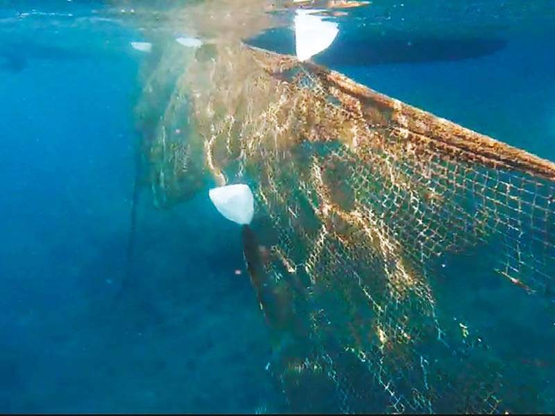 Divers remove 200kg of fishing nets in Quriyat