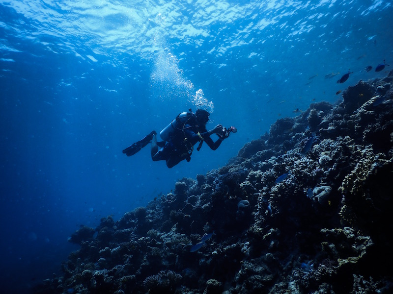 Underwater photographer promotes marine life in Oman