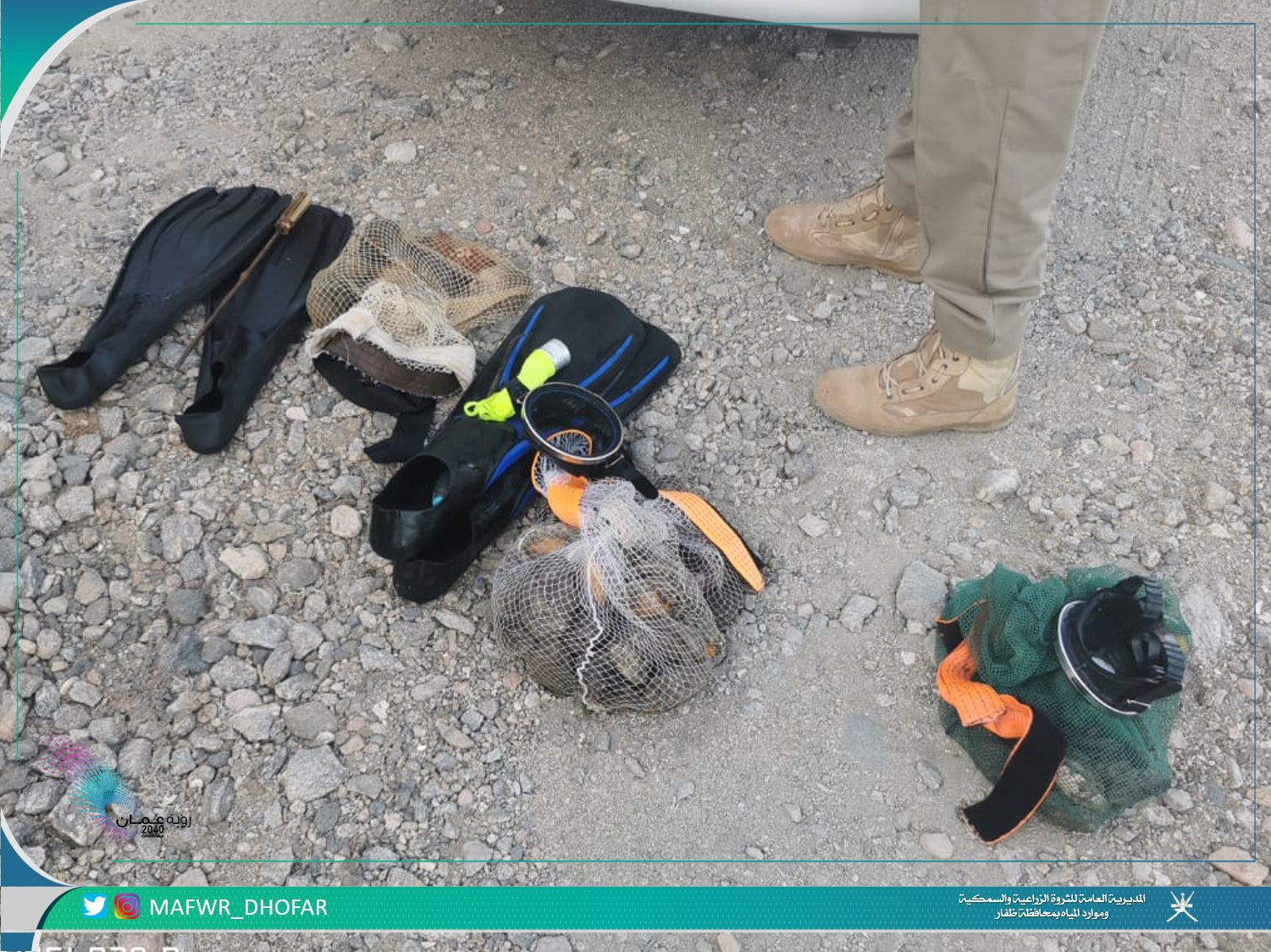 5 people arrested for lobster fishing outside the season in Dhofar