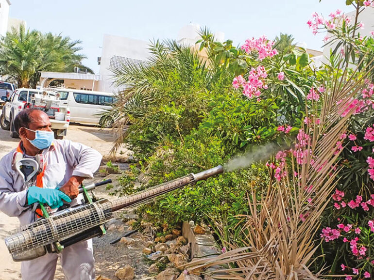 2-week mosquito control campaign starts in Muscat