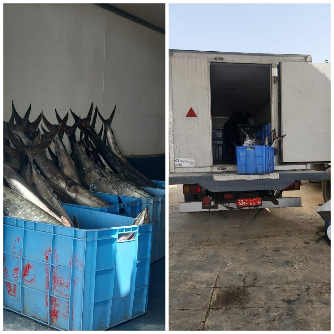 Over 800kg of kingfish caught out of season in Al Wusta