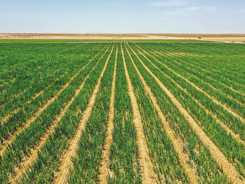 54 investment opportunities in 2023 to bolster food security