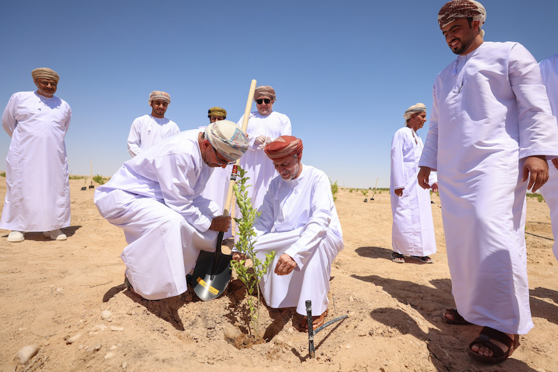 Oman observes 'Tree Day' with multiple initiatives
