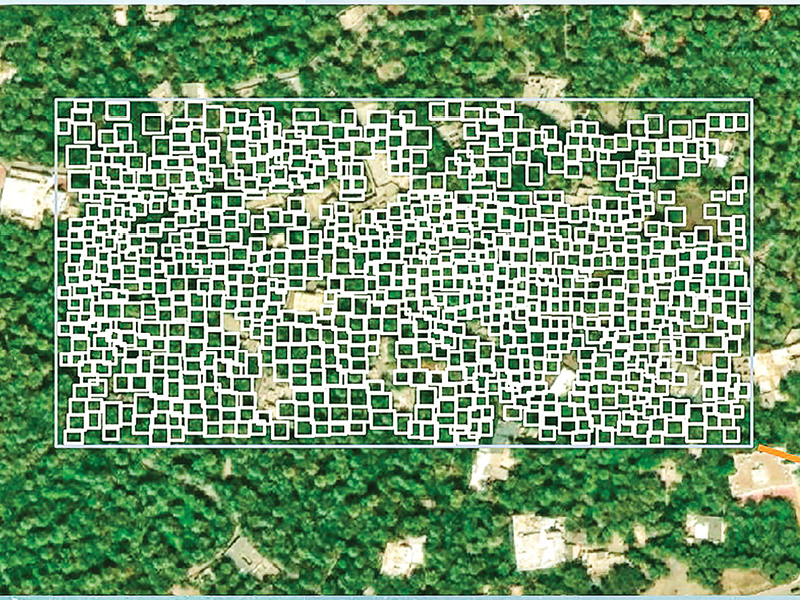 Omani startups harness satellite imagery for palm trees census
