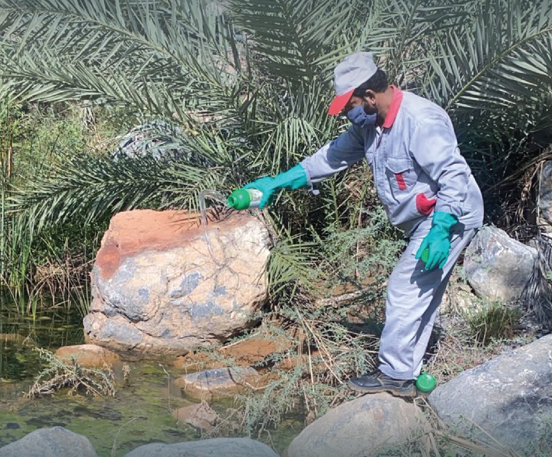 Municipality targets swamps, ponds in pest control drive