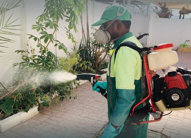 Municipality targets swamps, ponds in pest control drive