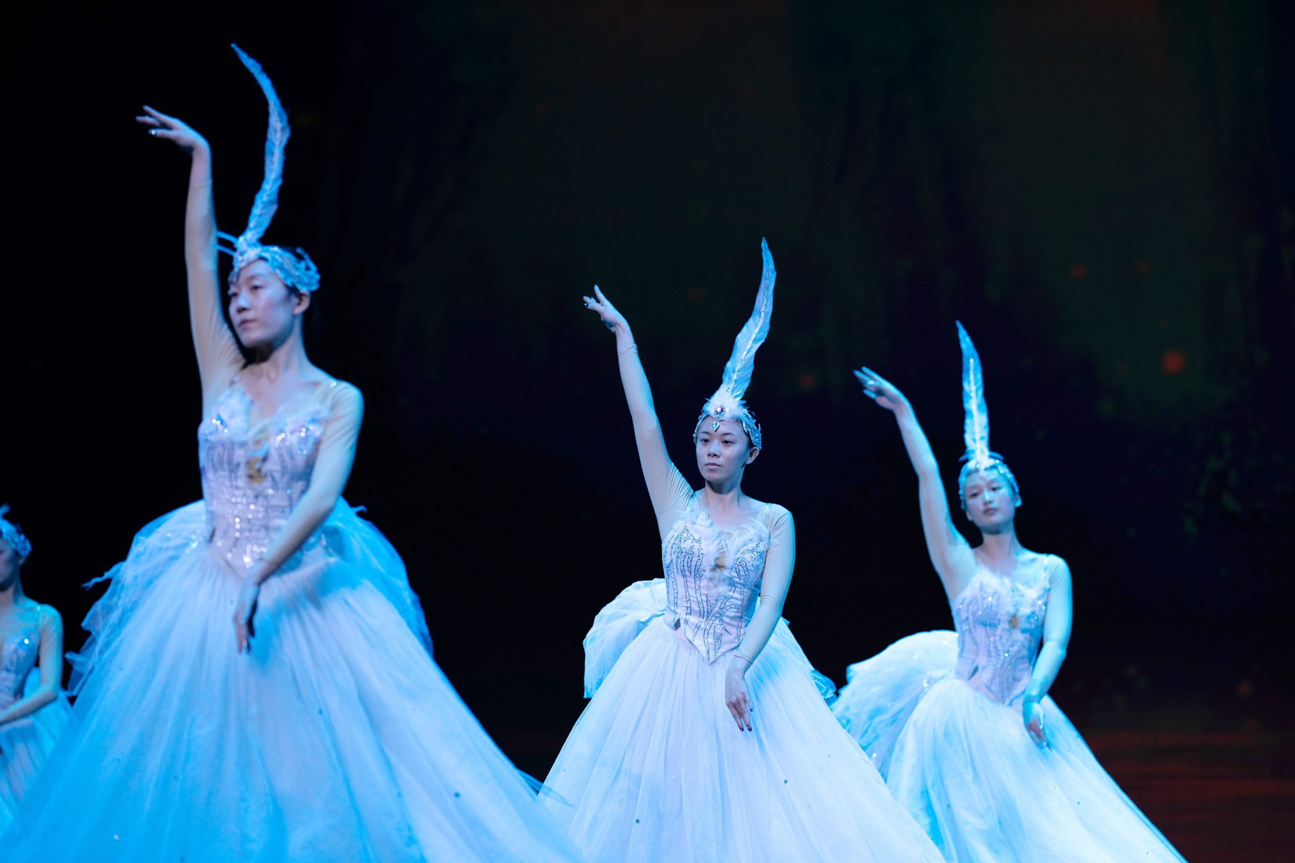 Swan Lake: A classic bend of ballet, acrobatics