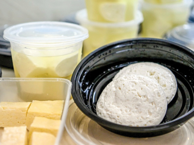 Foundation laid for camel milk cheese unit in Dhofar