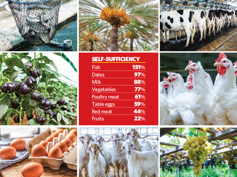 Oman food security consolidated with strategic initiatives