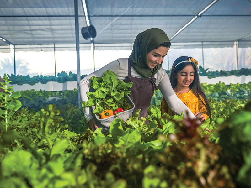 E-platform launched to boost Omani products