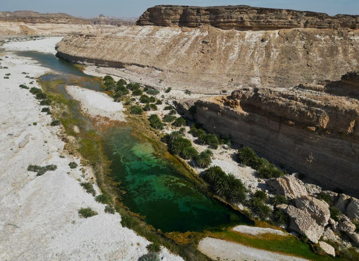 EA tracks rare wildlife, plant species in Jabal Samhan reserve