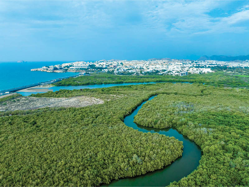 MEM establishes centre to drive carbon neutrality