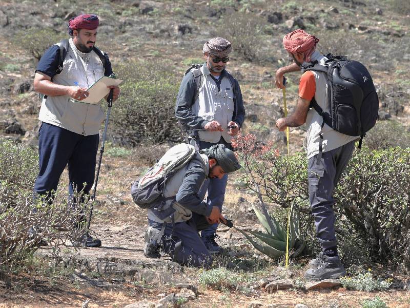 Mawarid records 352 wild Omani plant species