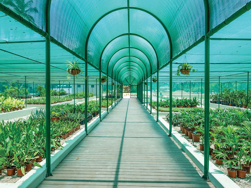 Razat Farm in Salalah to offer tourist trail starting Monday