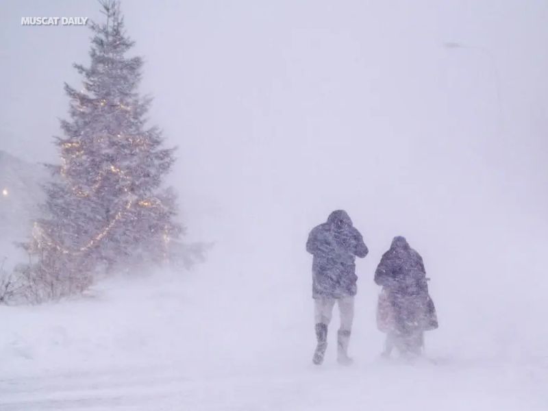 Storm Johannes leaves trail of destruction across Sweden
