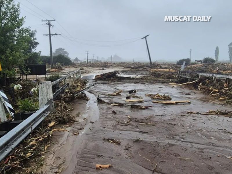 New Zealand's severe storm disrupts flights
