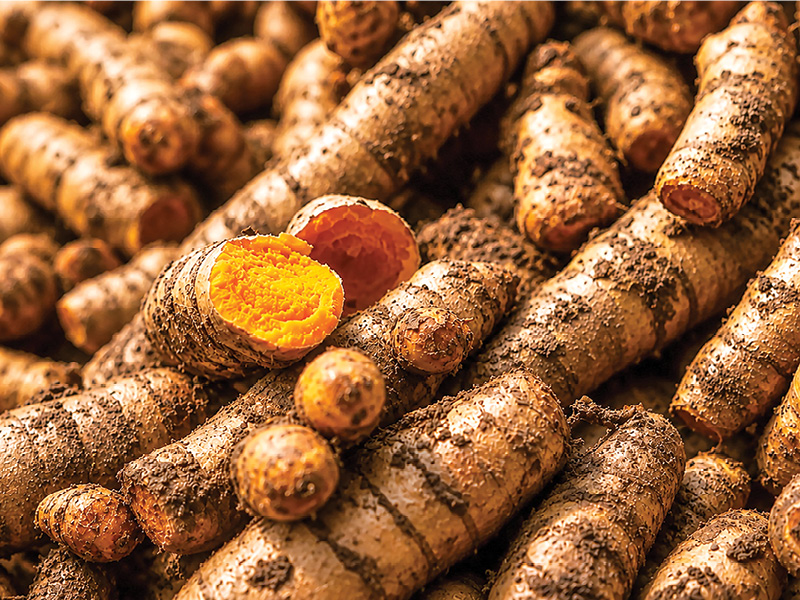 Dhofar entrepreneur turns turmeric venture into regional success story